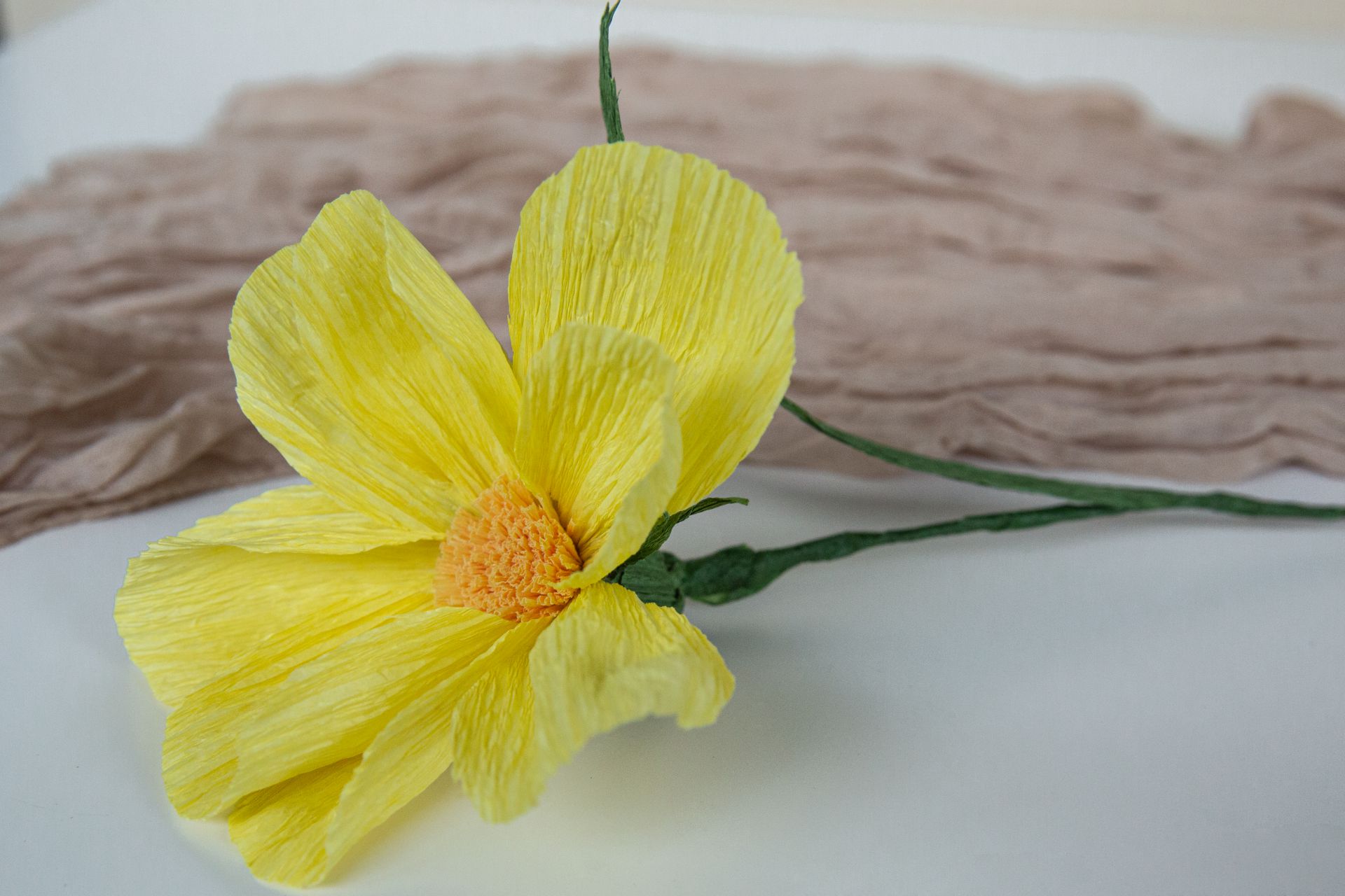 Krepppapier-Blumen DIY